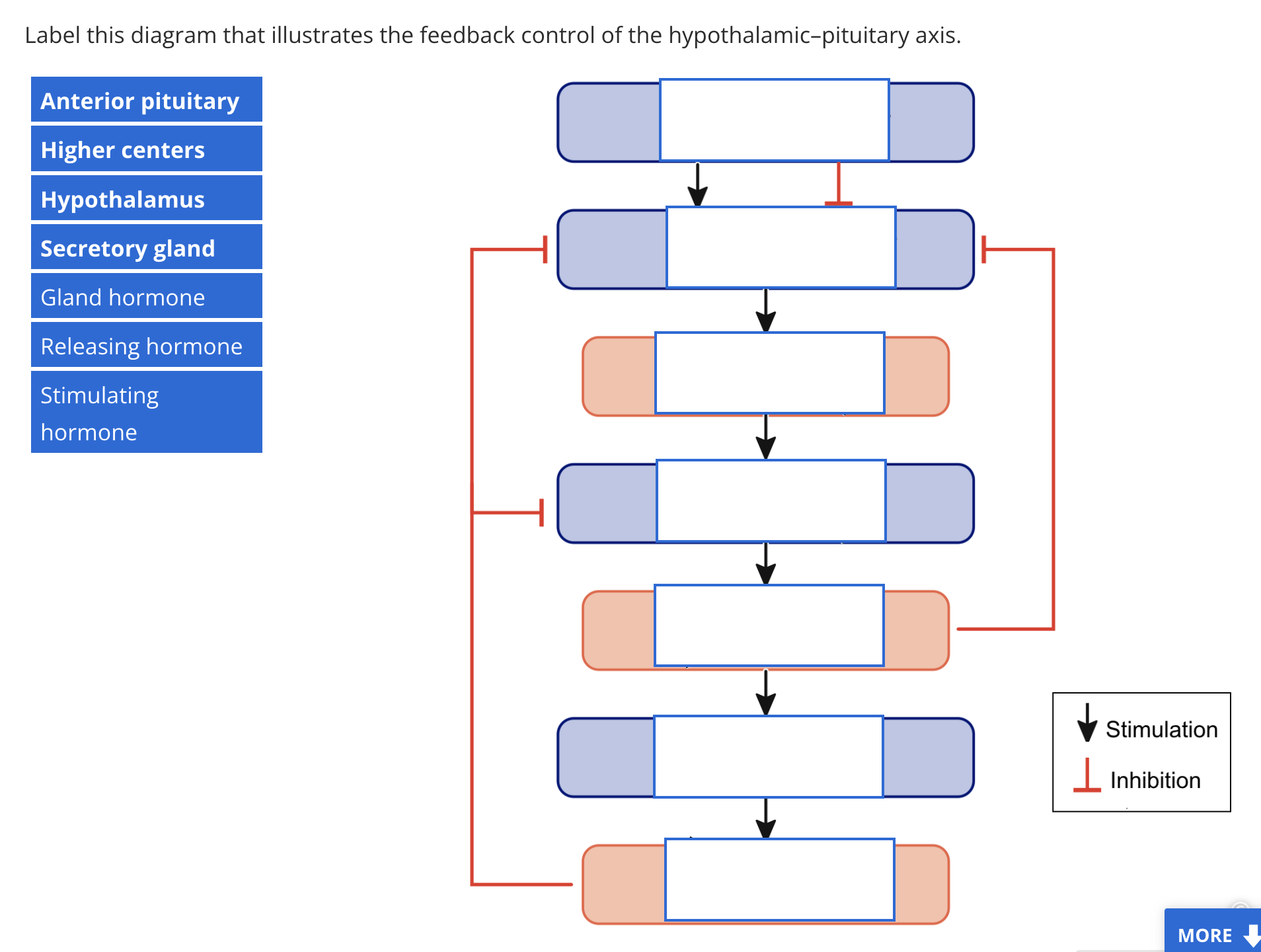 Solved Label this diagram that illustrates the feedback | Chegg.com