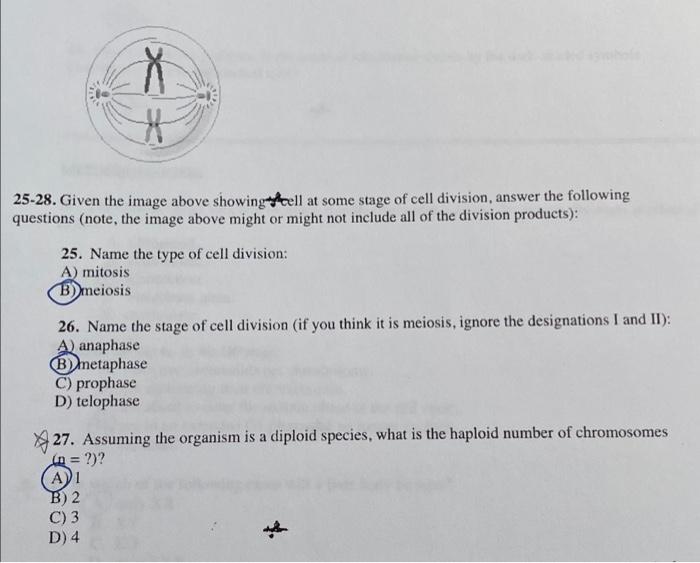Solved X 25-28. Given the image above showingcell at some | Chegg.com