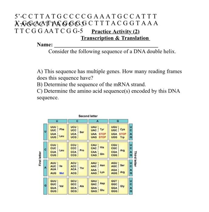 A) This sequence has multiple genes. How many reading | Chegg.com