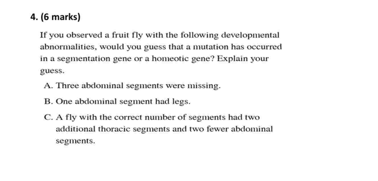 Solved 4. (6 ﻿marks)If you observed a fruit fly with the | Chegg.com