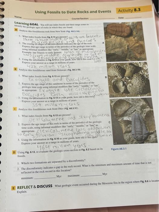 Solved Names Date A lole Using Fossils to Date Rocks and | Chegg.com