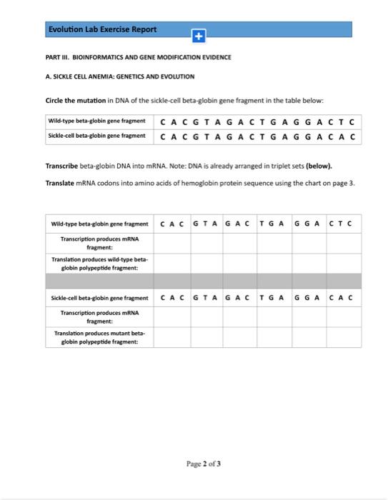 Evolution Lab Exercise Report PARTI. FOSSIL EVIDENCE | Chegg.com