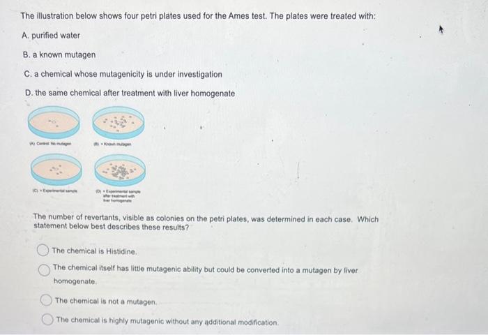 Solved The illustration below shows four petri plates used | Chegg.com