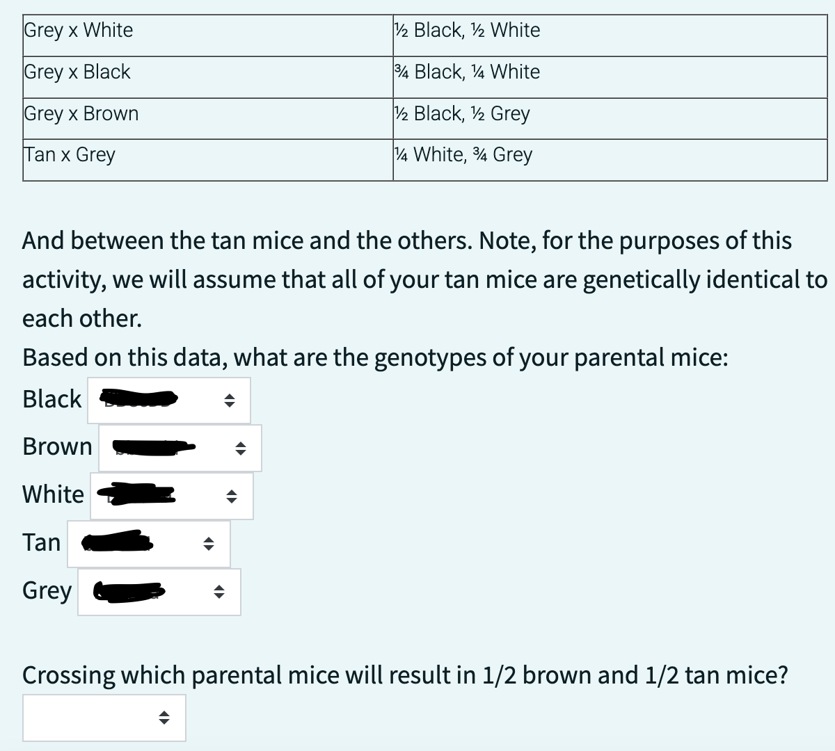 Parental: You are an avid mouse geneticist. Your | Chegg.com