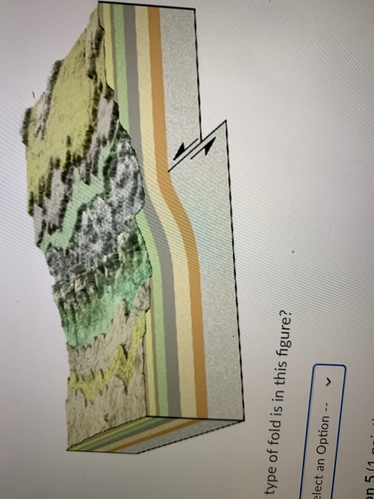 Solved what type of fold is in this figure? | Chegg.com