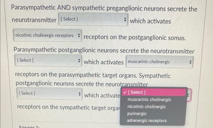 Solved Parasympathetic AND sympathetic preganglionic neurons | Chegg.com