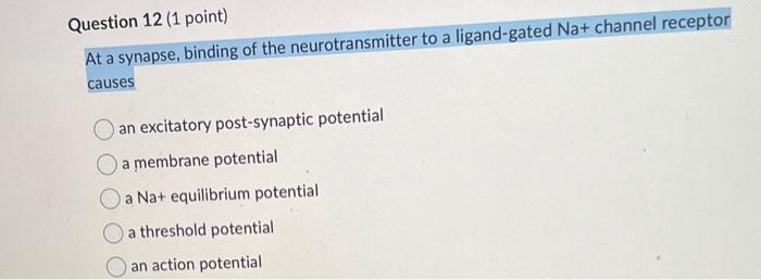 Solved Question 12 (1 point) At a synapse, binding of the | Chegg.com