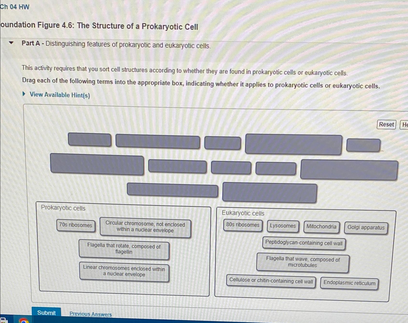 Solved Ch 04HWoundation Figure 4.6: The Structure of a | Chegg.com