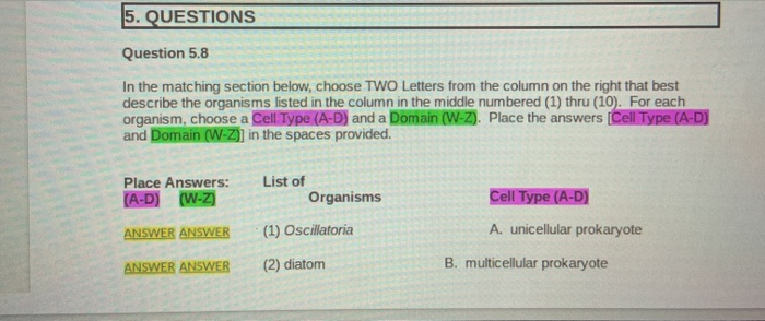 Solved 5. QUESTIONS Question 5.8 In the matching section | Chegg.com