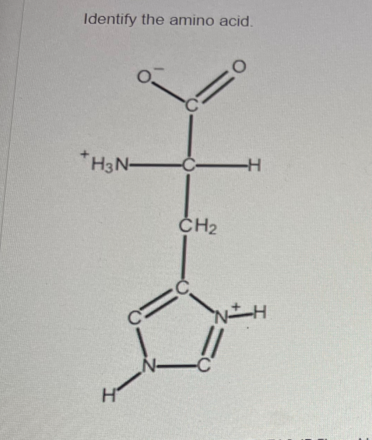 Solved Identify the amino acid. | Chegg.com
