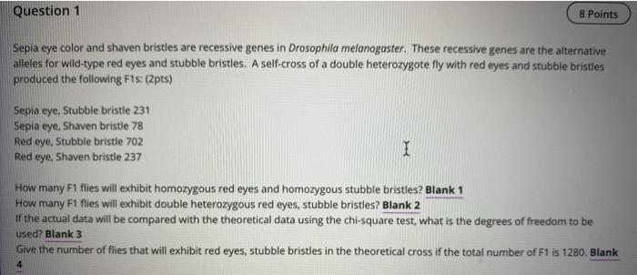 Solved Question 1 8 Points Sepia eye color and shaven | Chegg.com