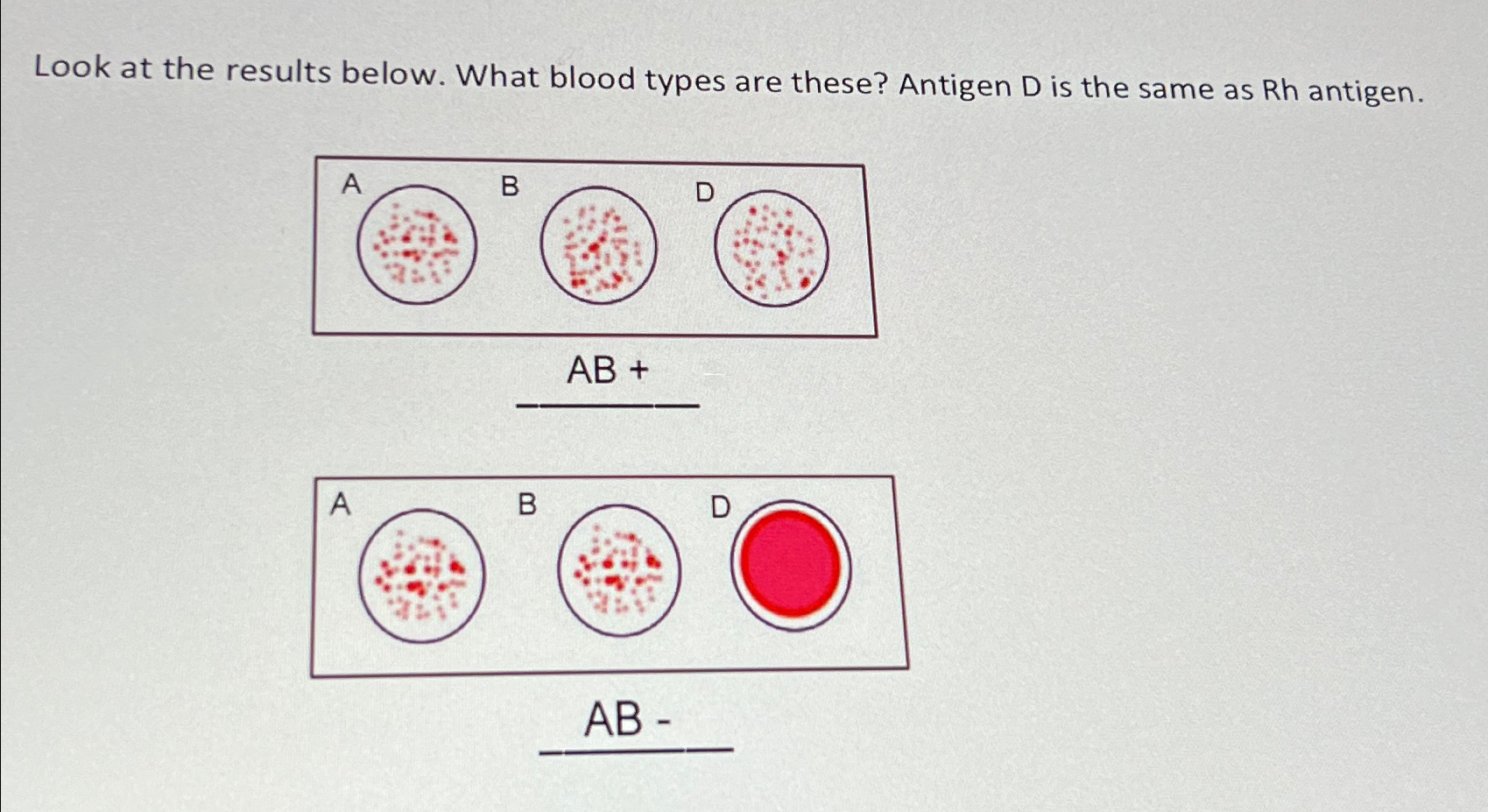 Solved Look at the results below. What blood types are | Chegg.com