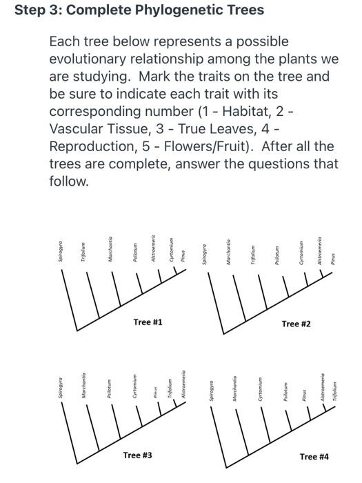 Solved Step 1: Complete the Character Matrix Using species | Chegg.com