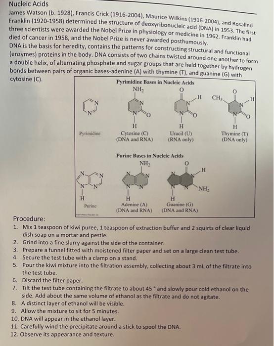 Solved Biomolecules: DNA Extraction Experiment Summary: DNA | Chegg.com