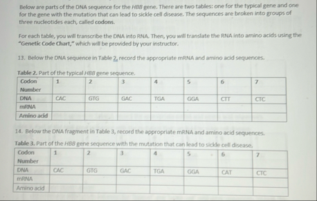 Solved Below are parts of the DNA sequence for the HBA gene. | Chegg.com