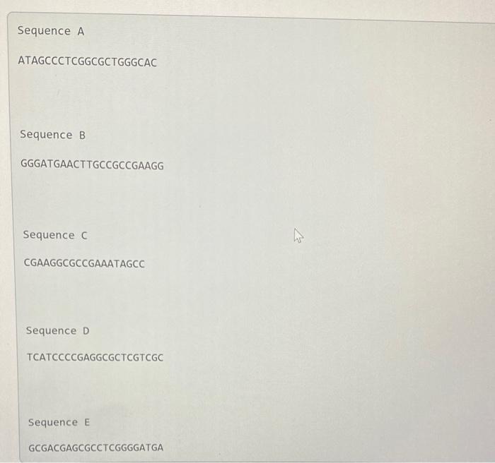 Solved Sequence B GGGATGAACTTGCCGCCGAAGG | Chegg.com