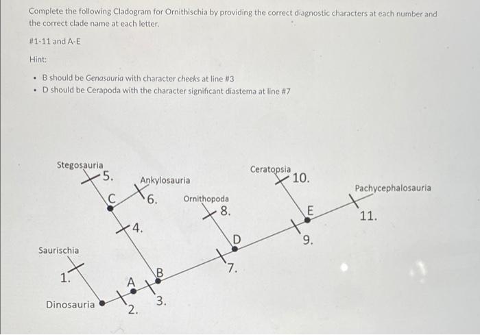 Solved Complete the following Cladogram for Ornithischia by | Chegg.com