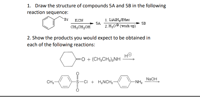 Solved 1. Draw the structure of compounds 5A and 5B in the | Chegg.com