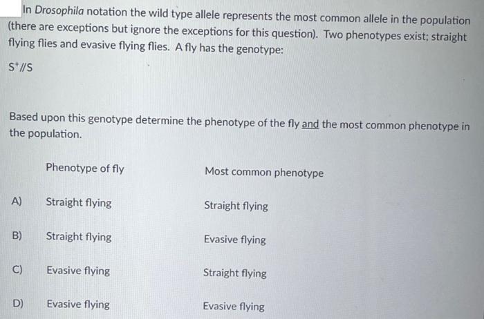 Solved In Drosophila notation the wild type allele | Chegg.com