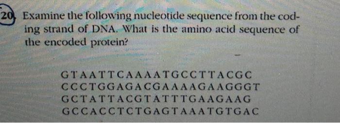 Solved 20Examine the following nucleotide sequence from the | Chegg.com