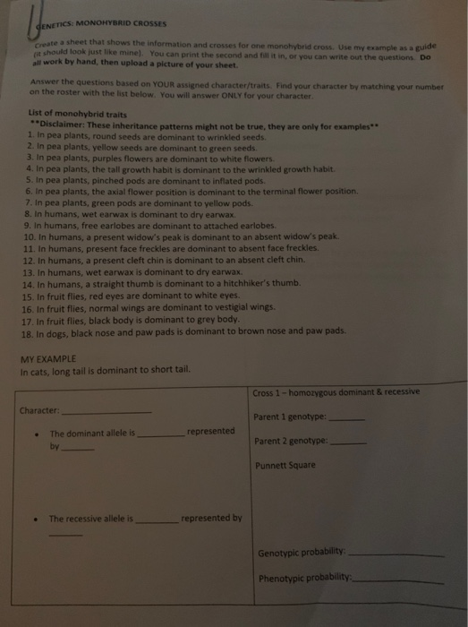 Solved ENETICS: MONOHYBRID CROSSES te a sheet that shows the | Chegg.com