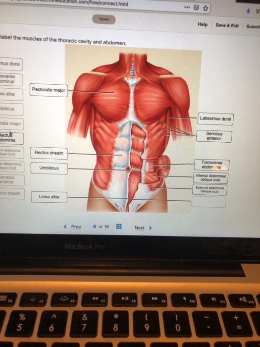 Solved M ucation.com/flow/connect.html Help Save & Exit | Chegg.com