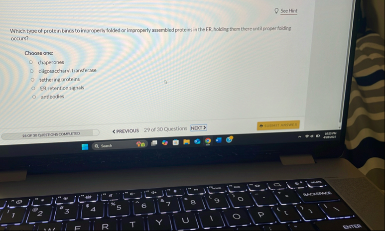 Solved See HintWhich type of protein binds to improperly | Chegg.com