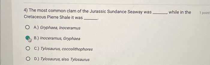 Solved 4) The most common clam of the Jurassic Sundance | Chegg.com