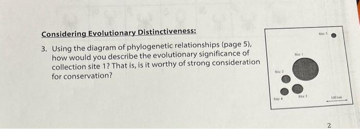 Solved Considering Evolutionary Distinctiveness: 3. Using | Chegg.com