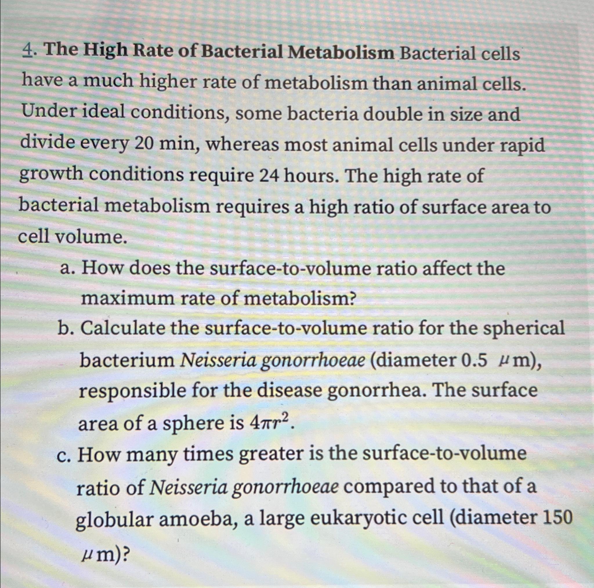 Solved The High Rate of Bacterial Metabolism Bacterial cells | Chegg.com
