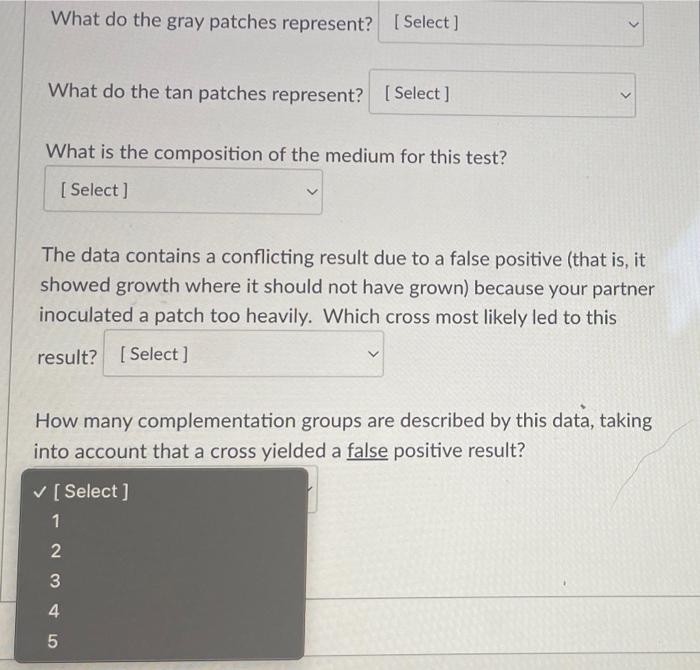 Solved You and your lab partner performed a complementation | Chegg.com