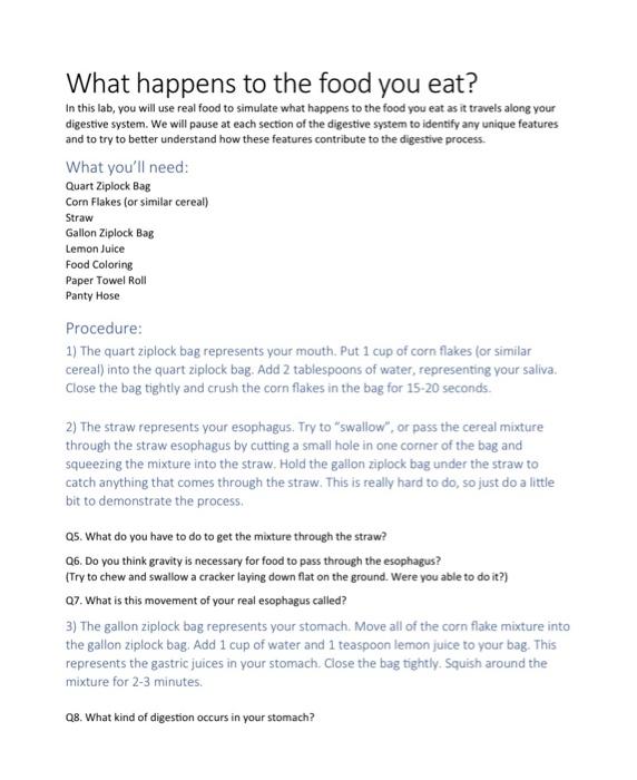 Solved What happens to the food you eat? In this lab, you | Chegg.com