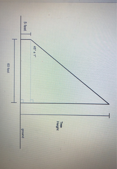 Solved You are standing 60 feet away from a tree. The | Chegg.com