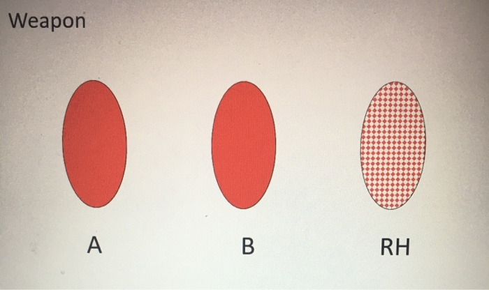 Solved Blood Typing: how to read Blood Type Reactions w/ | Chegg.com