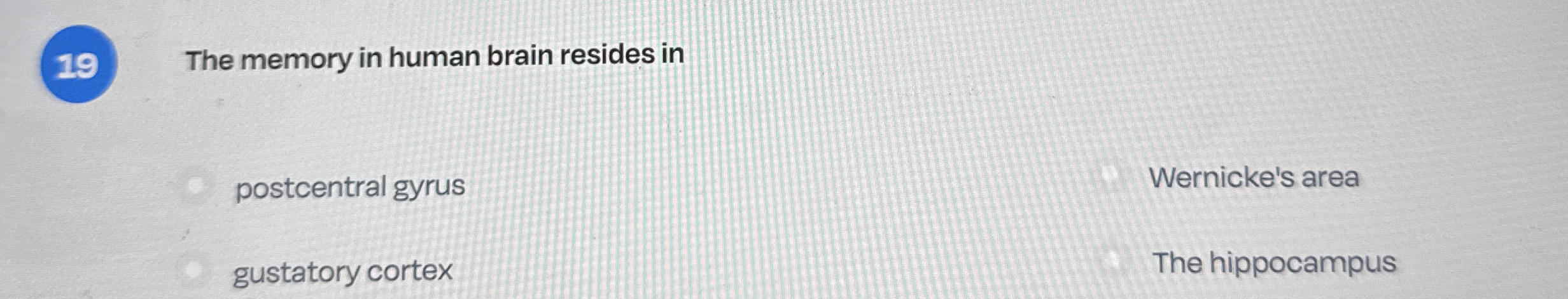 Solved 19 ﻿The memory in human brain resides inpostcentral | Chegg.com