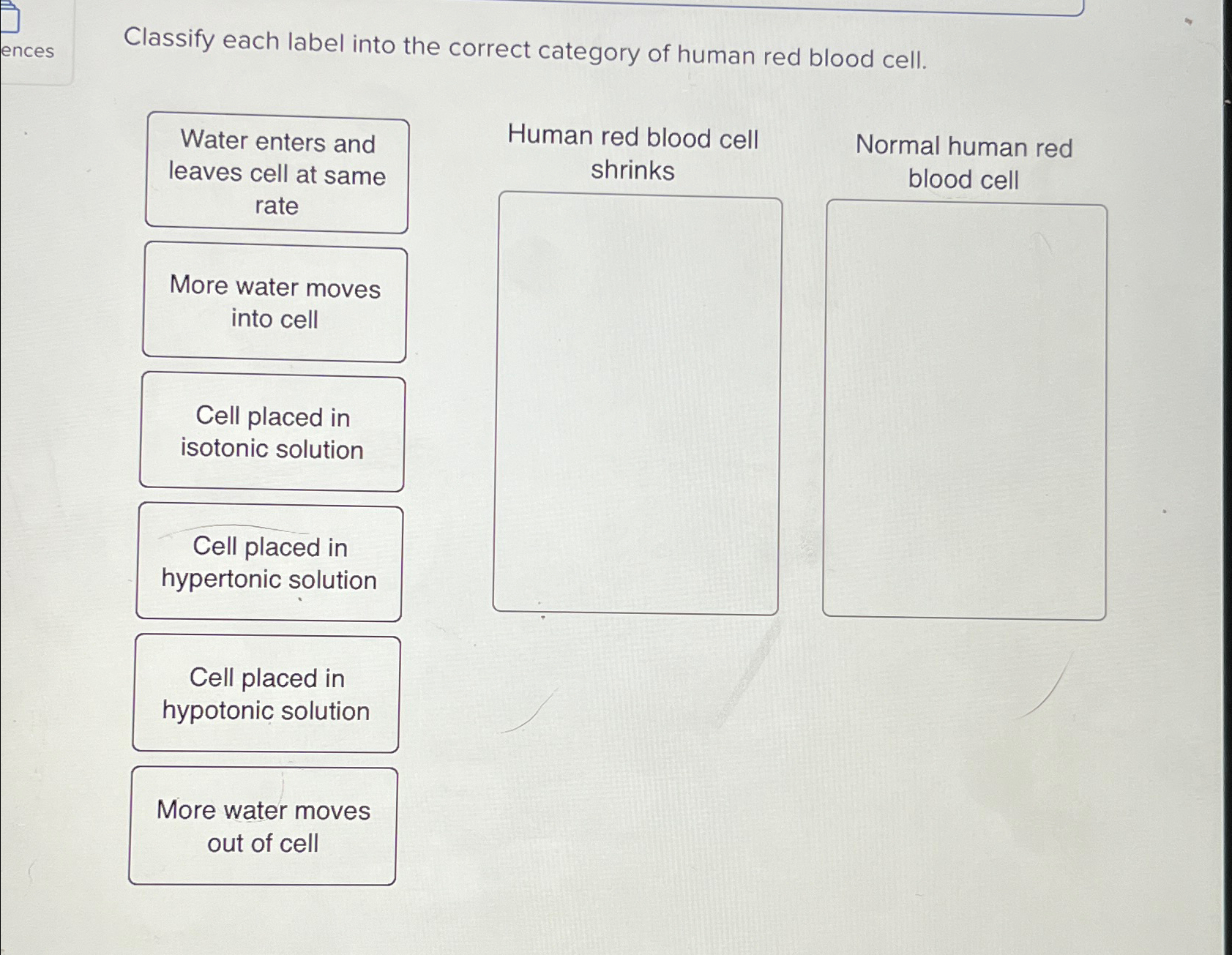 Solved Classify each label into the correct category of | Chegg.com