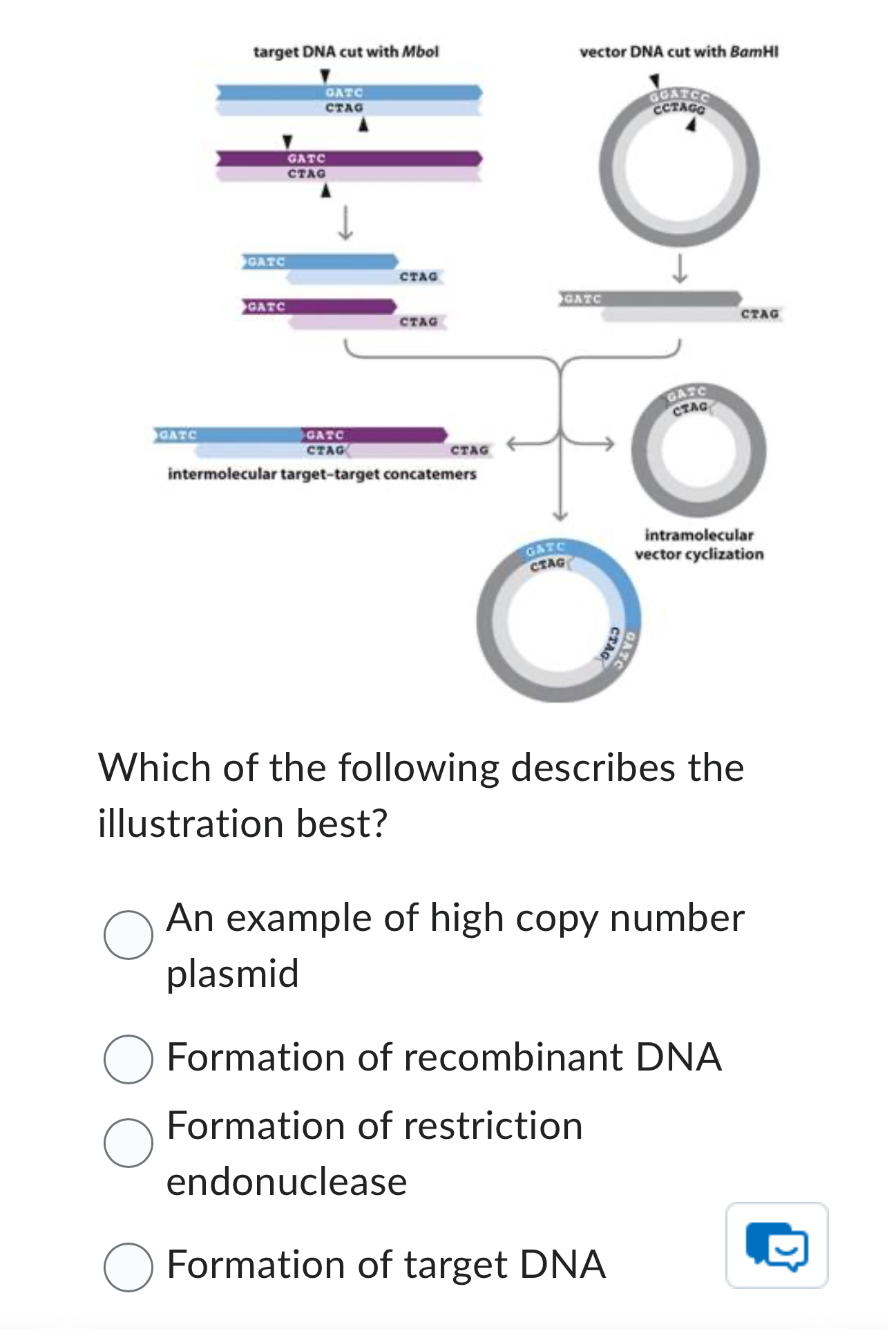 Solved Which of the following describes the illustration | Chegg.com