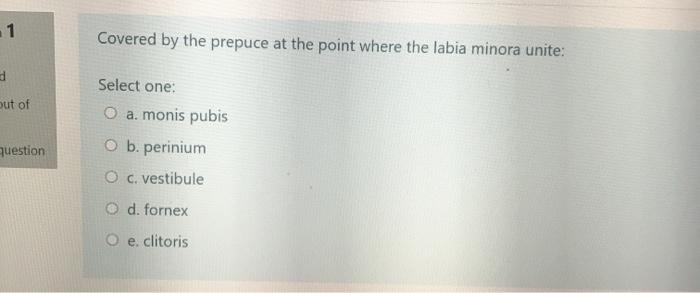 Solved 1 Covered by the prepuce at the point where the labia | Chegg.com