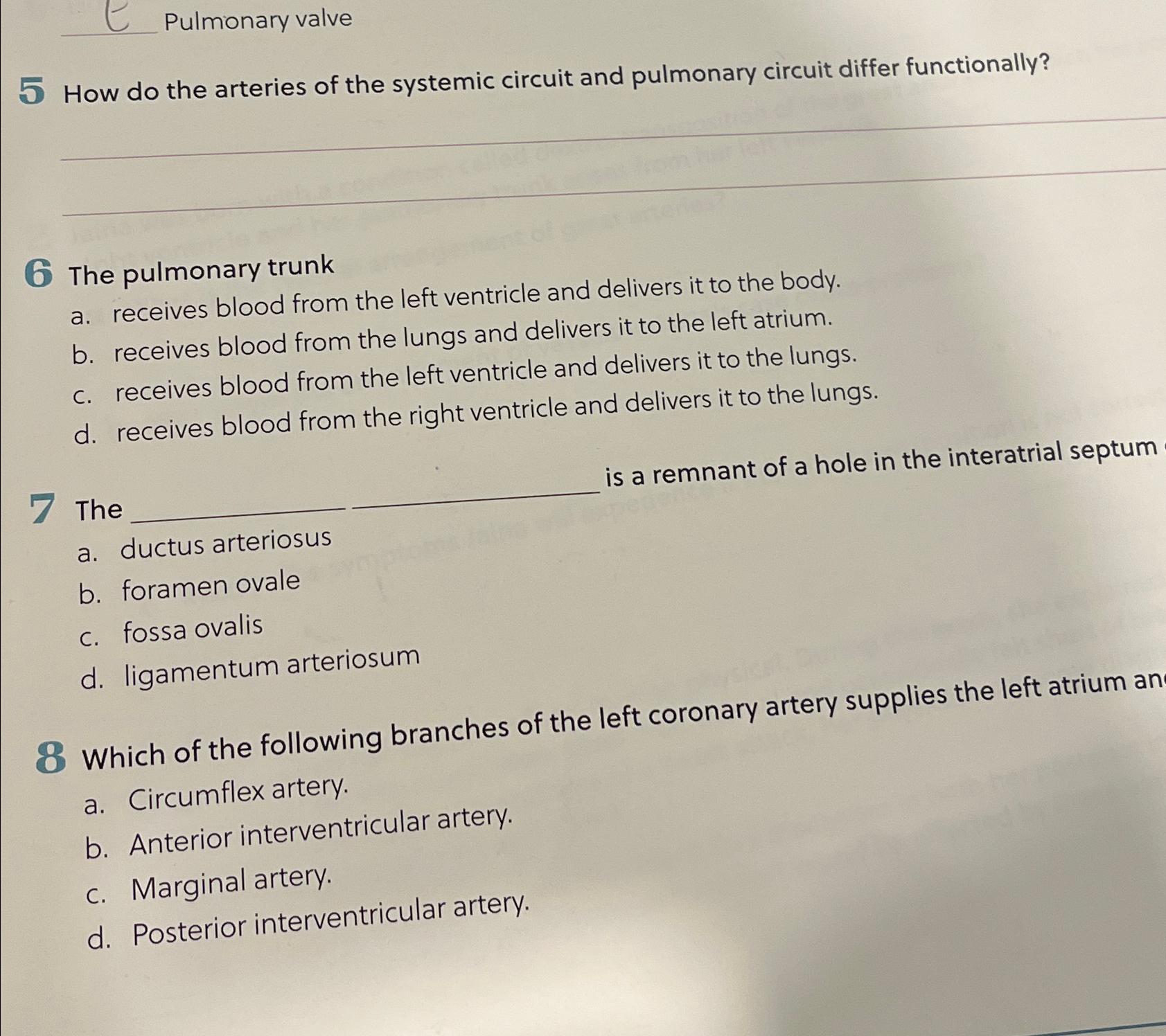 Solved Pulmonary valve5 ﻿How do the arteries of the systemic | Chegg.com