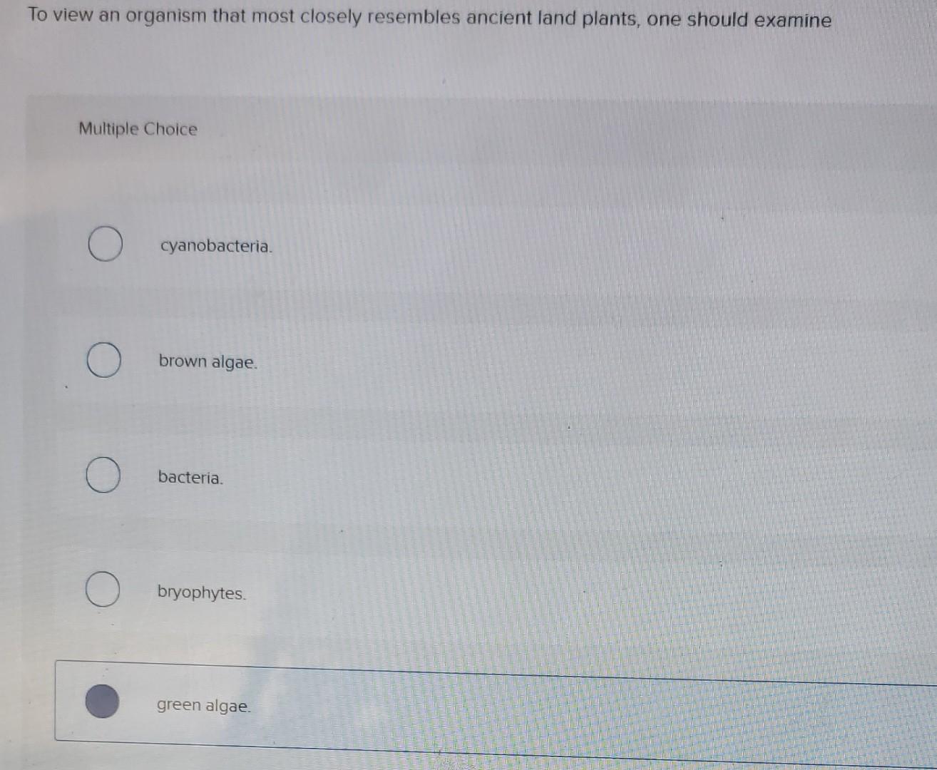 Solved & EXIT Su As you are examining a plant in your botany | Chegg.com