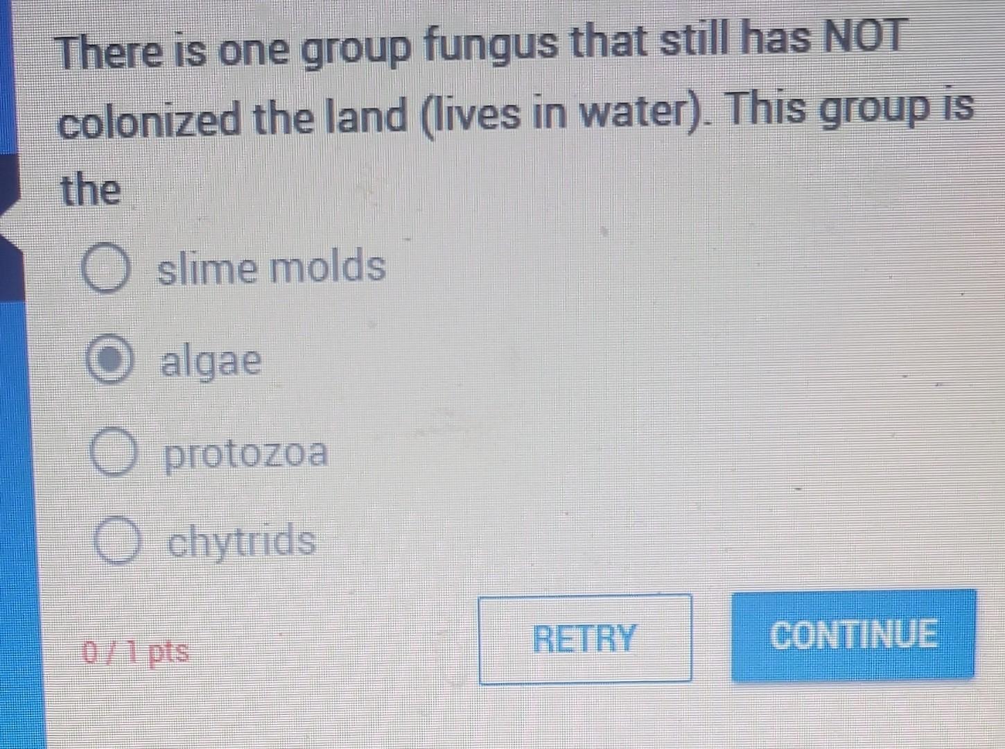 Solved The plant pictured here is a (evolutionary group or | Chegg.com