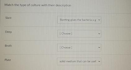 Solved Match the type of culture with their | Chegg.com