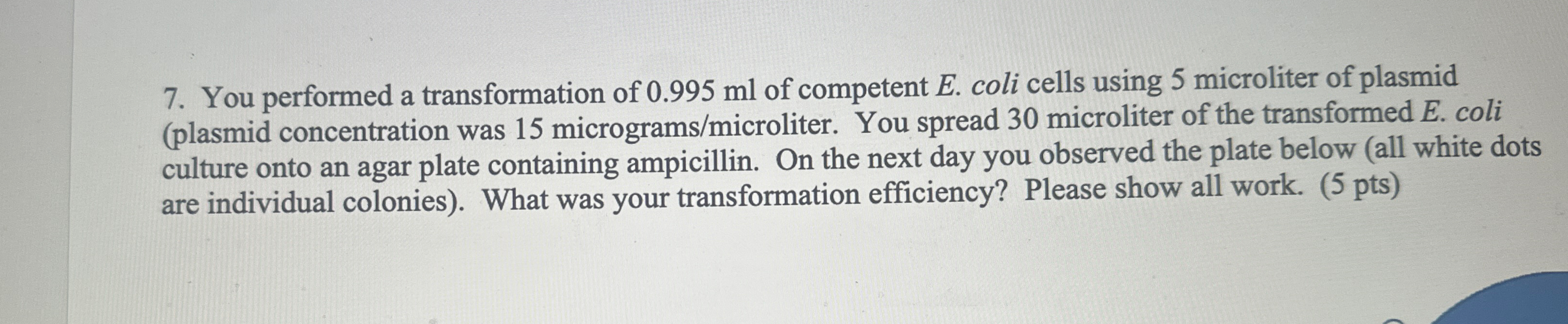 You performed a transformation of 0.995ml ﻿of | Chegg.com