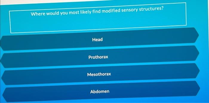 Solved Since ocelli are not used for forming images, what | Chegg.com
