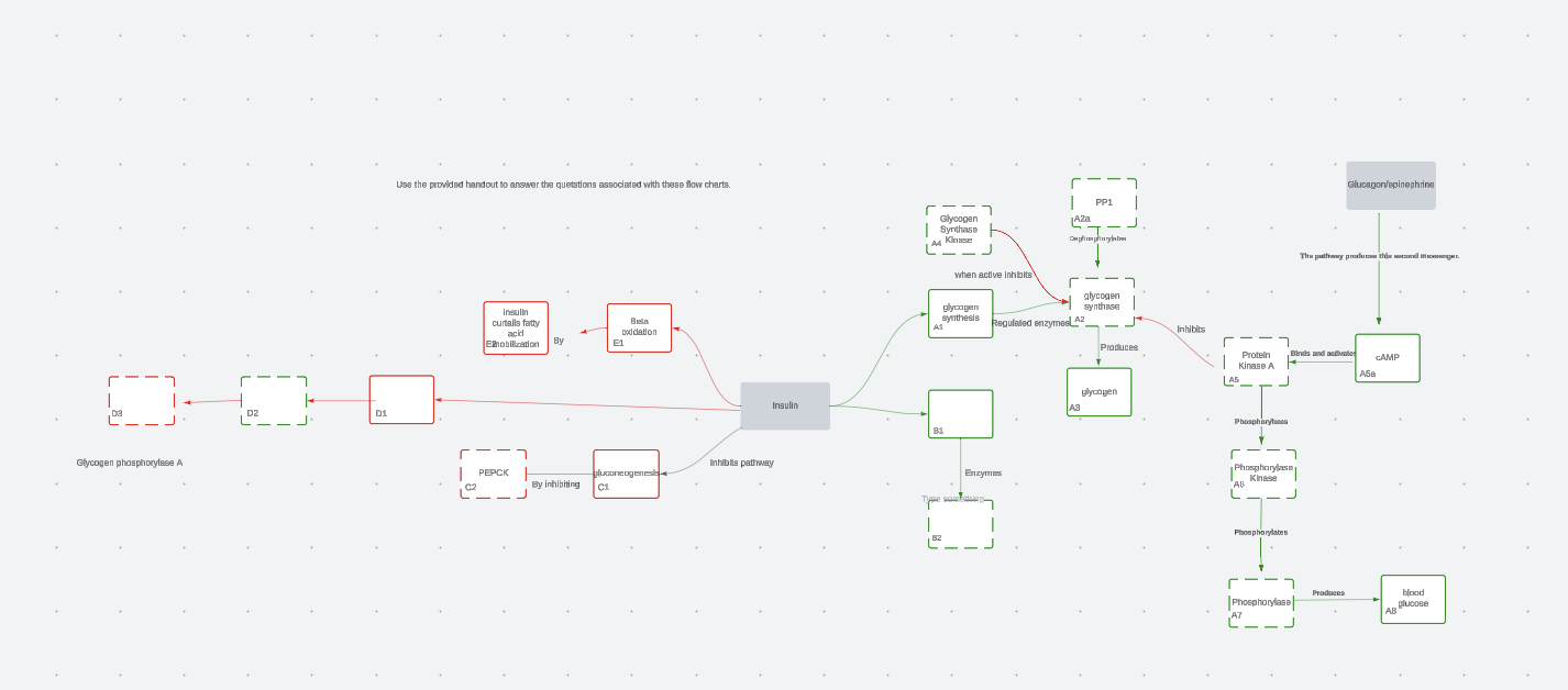 Solved Use this guide to fill out the flow chart provided. | Chegg.com