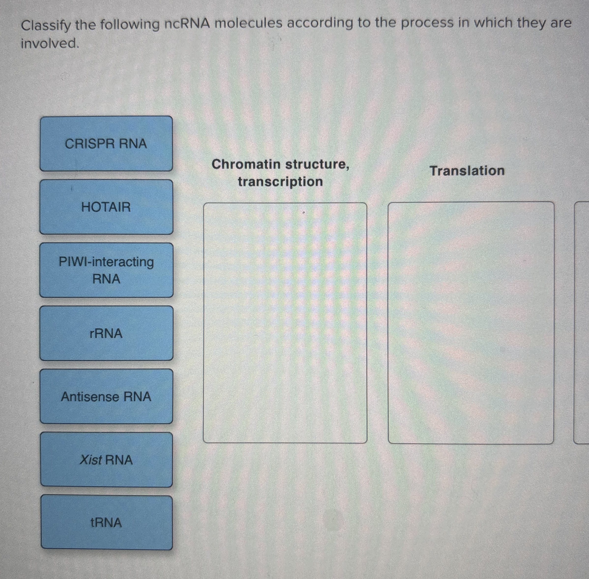 Solved Classify the following ncRNA molecules according to | Chegg.com