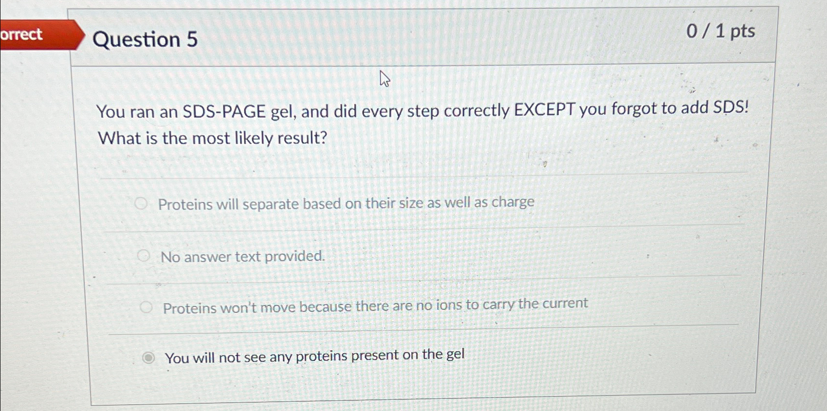 Solved Question 501 ﻿ptsYou ran an SDS-PAGE gel, and did | Chegg.com