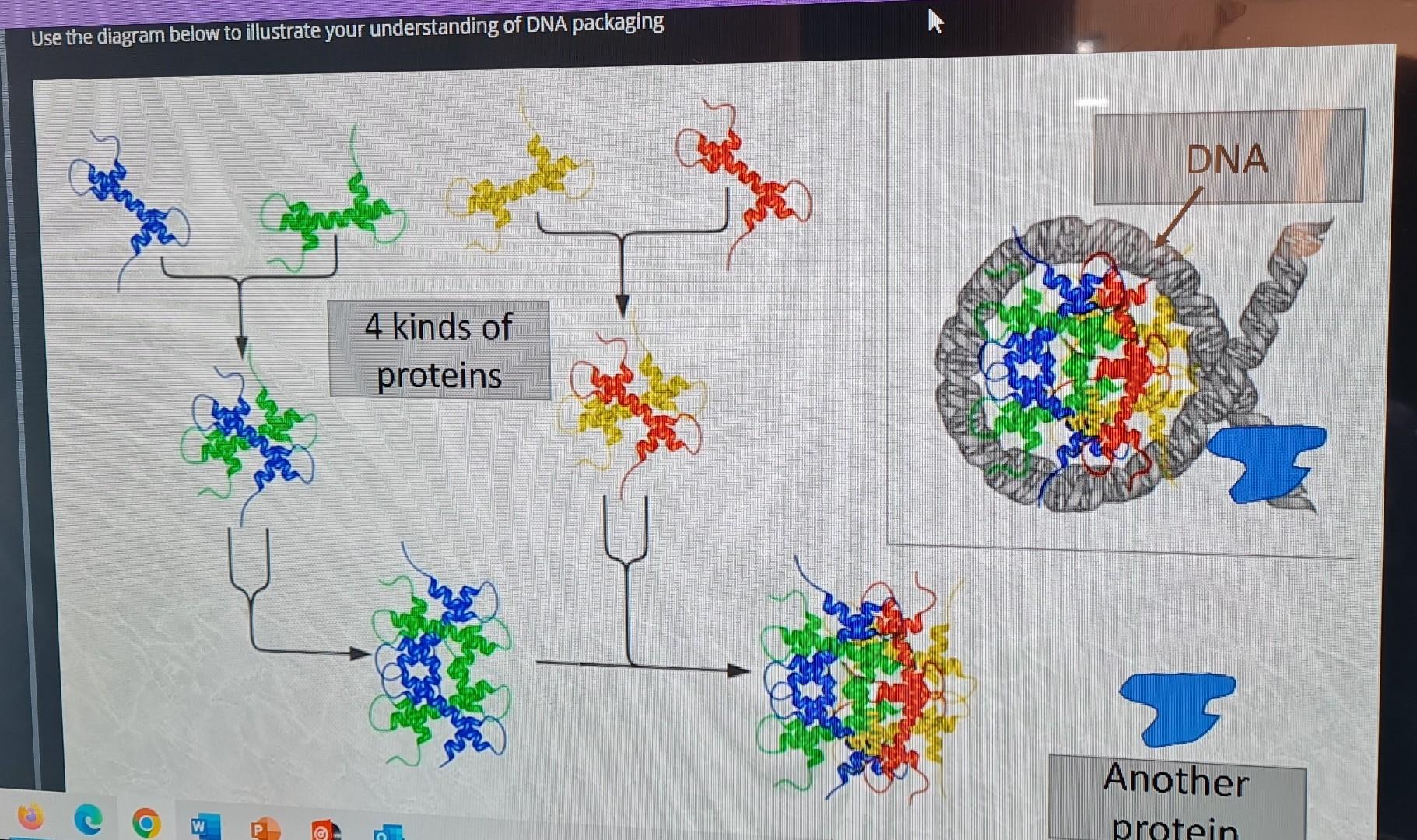 Solved use the diagram above to illustrate your | Chegg.com