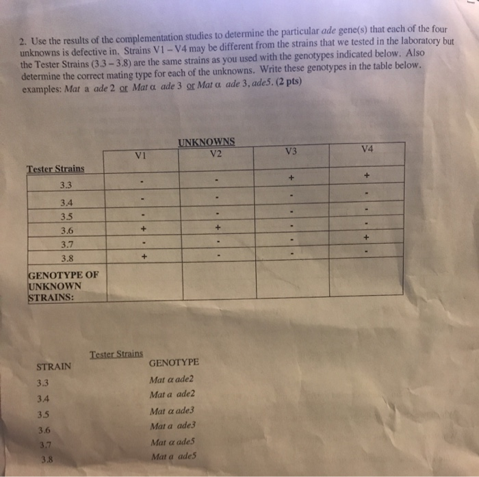 2. Use the results of the complementation studies to | Chegg.com
