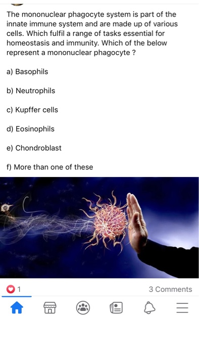 Solved The mononuclear phagocyte system is part of the | Chegg.com